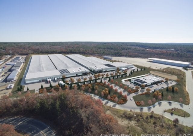 Contact - Campanelli