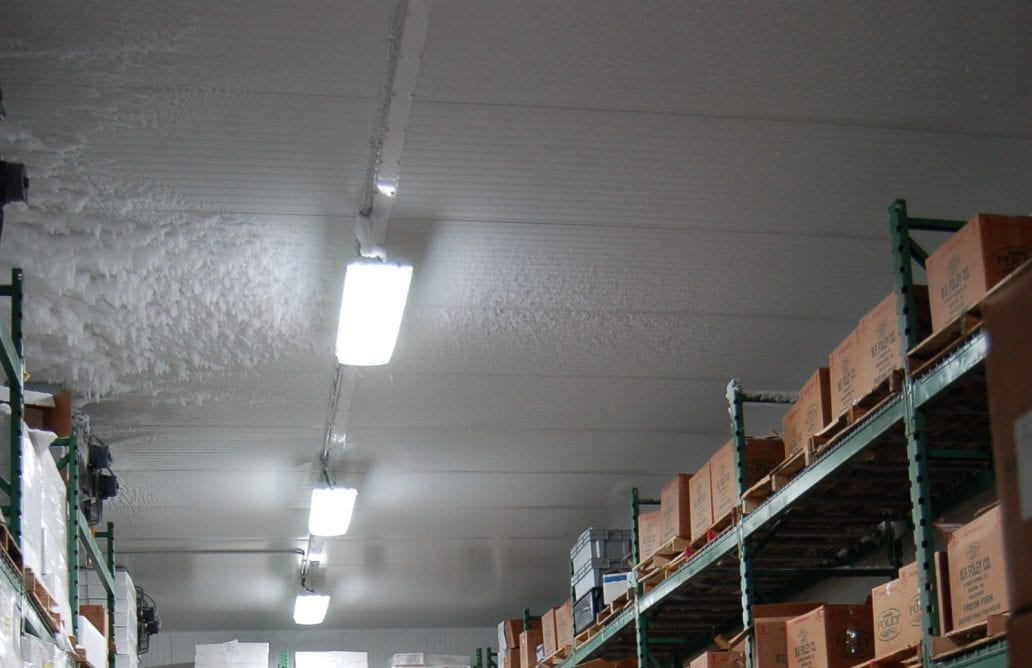 Foley Fish - Campanelli