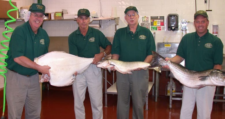 Foley Fish - Campanelli